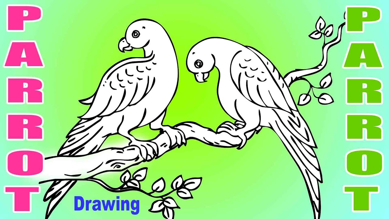 PARROT DRAWING- BALAJ ARTS - HOW TO DRAW PARROT- கிளி ஓவியம் - YouTube