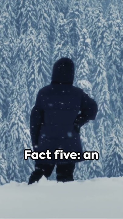 Unraveling Mystery Dyatlov Pass Incident 5 Startling Unknown Facts