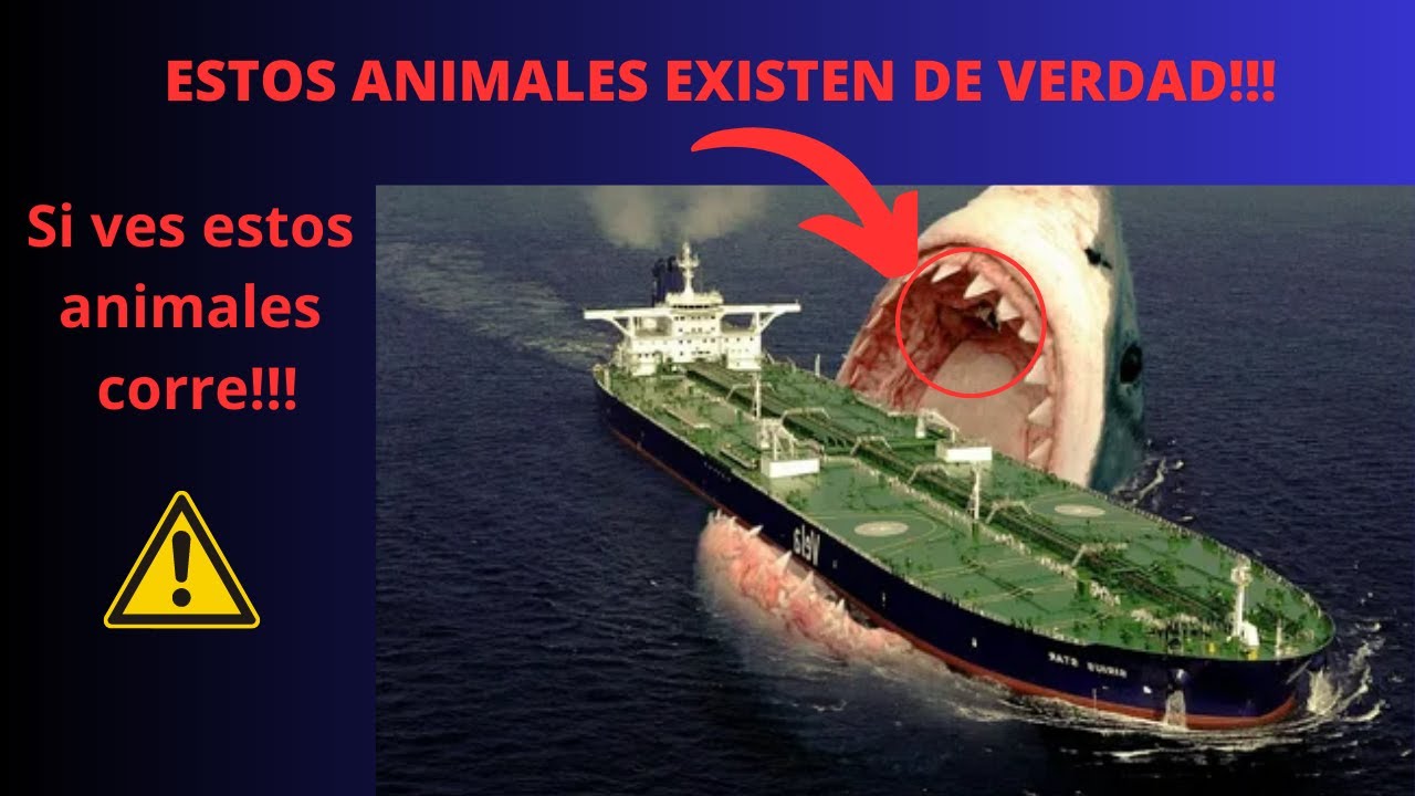 Top 10 animales más GRANDES del MUNDO!!!🌍☣️ - YouTube
