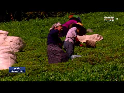 Şehir Hikayeleri - 28 Ekim 2017 (Çamlıhemşin)