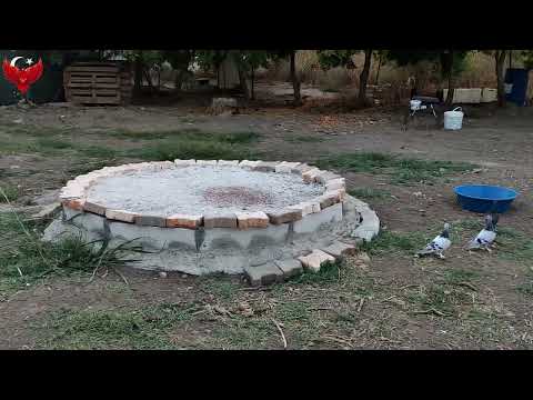 GÜVERCİN UÇURMAK. Yavrular Kafa Kaldırmaya Başladı yakında teke düşerler.