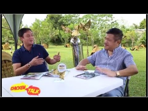 CHICKEN TALK:ANTHONY MARASIGAN OF MOA GAMEFARM - YouTube