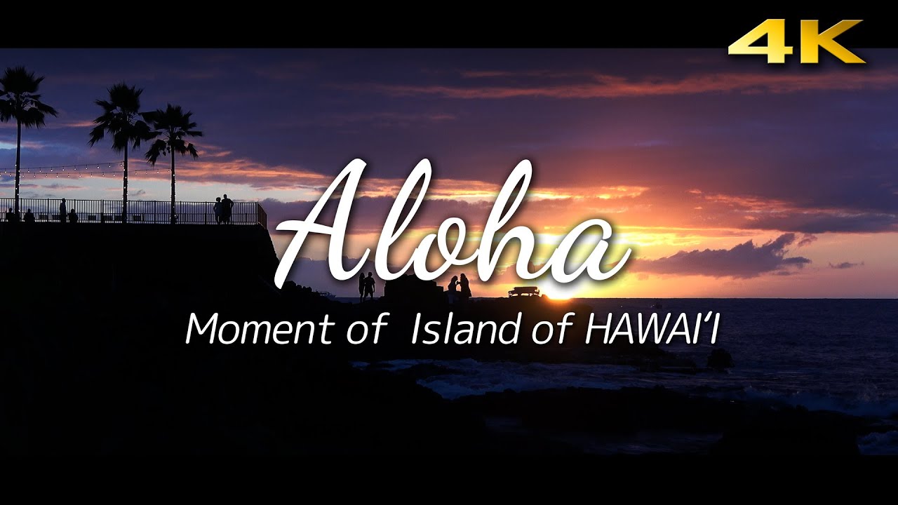 ALOHA! My Friends. (Twitter Extended Version) - YouTube