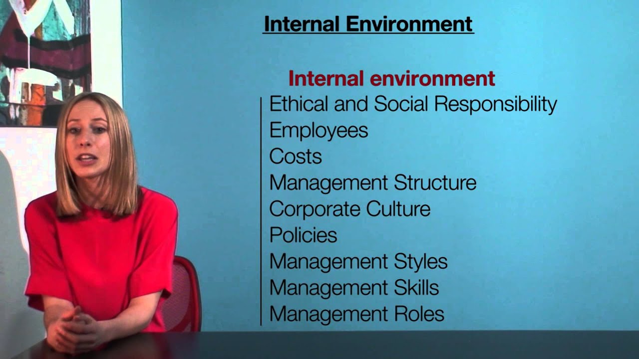 VCE Business Management - Internal Environment - YouTube