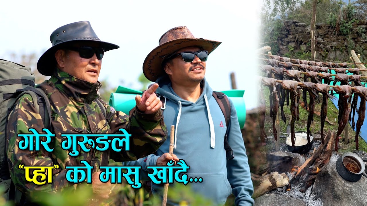 गोरे गुरुङले ‘प्हा’ को मासु खाँदै... || Gore Gurung's Eating 'Paa" Meat ...