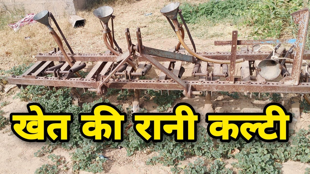 This is Kalti, इसे बोलते हैं कल्टी, ये खेत की रानी हैं, - YouTube