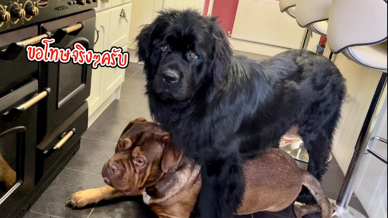 ผิดไปแล้ว "ขอโทษครับ" | Nammy E - YouTube