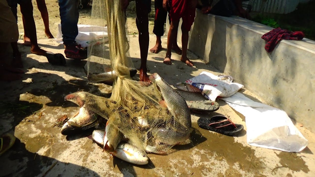 Here is The Big Catch You Won't Believe That How Many Fishes Catch by ...