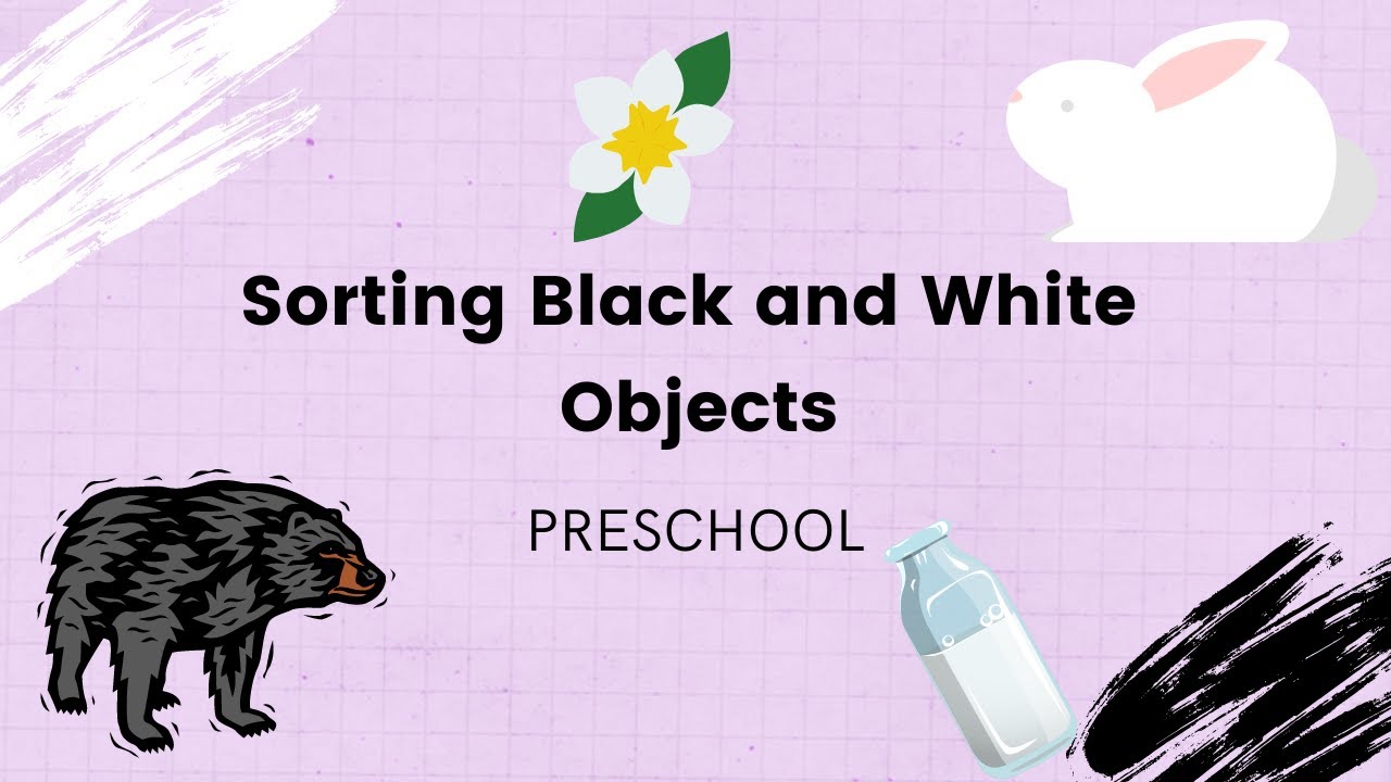 Sorting Black and White Objects Activity - YouTube