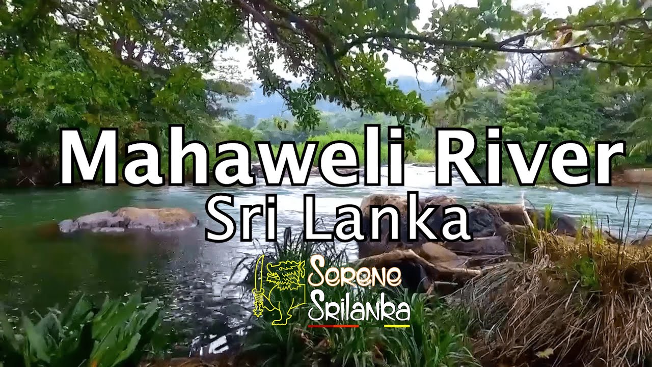 Discovering the Wonders of Mahaweli River | Serene Srilanka - YouTube