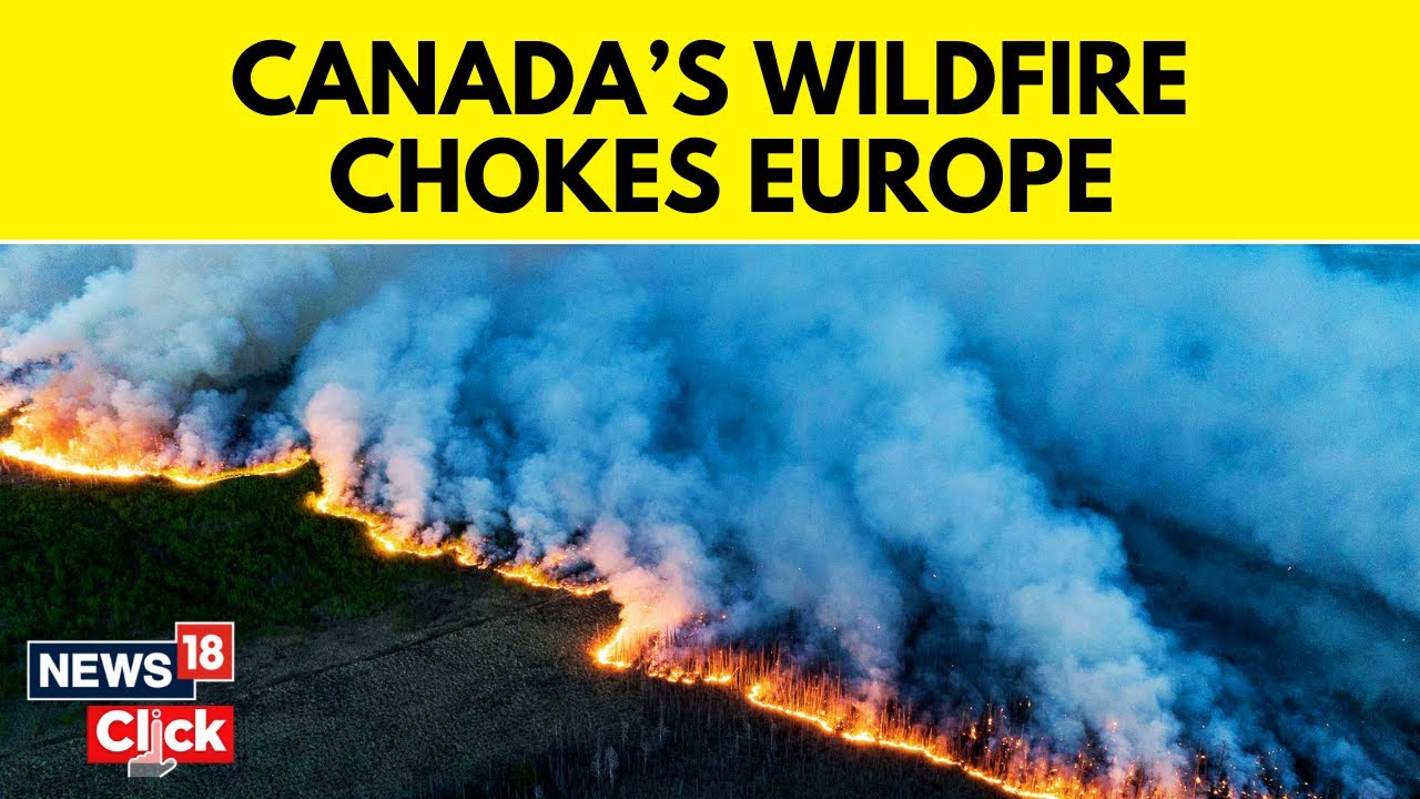 Canada News | Canadian Wildfire Emissions Hit Record High As Smoke ...