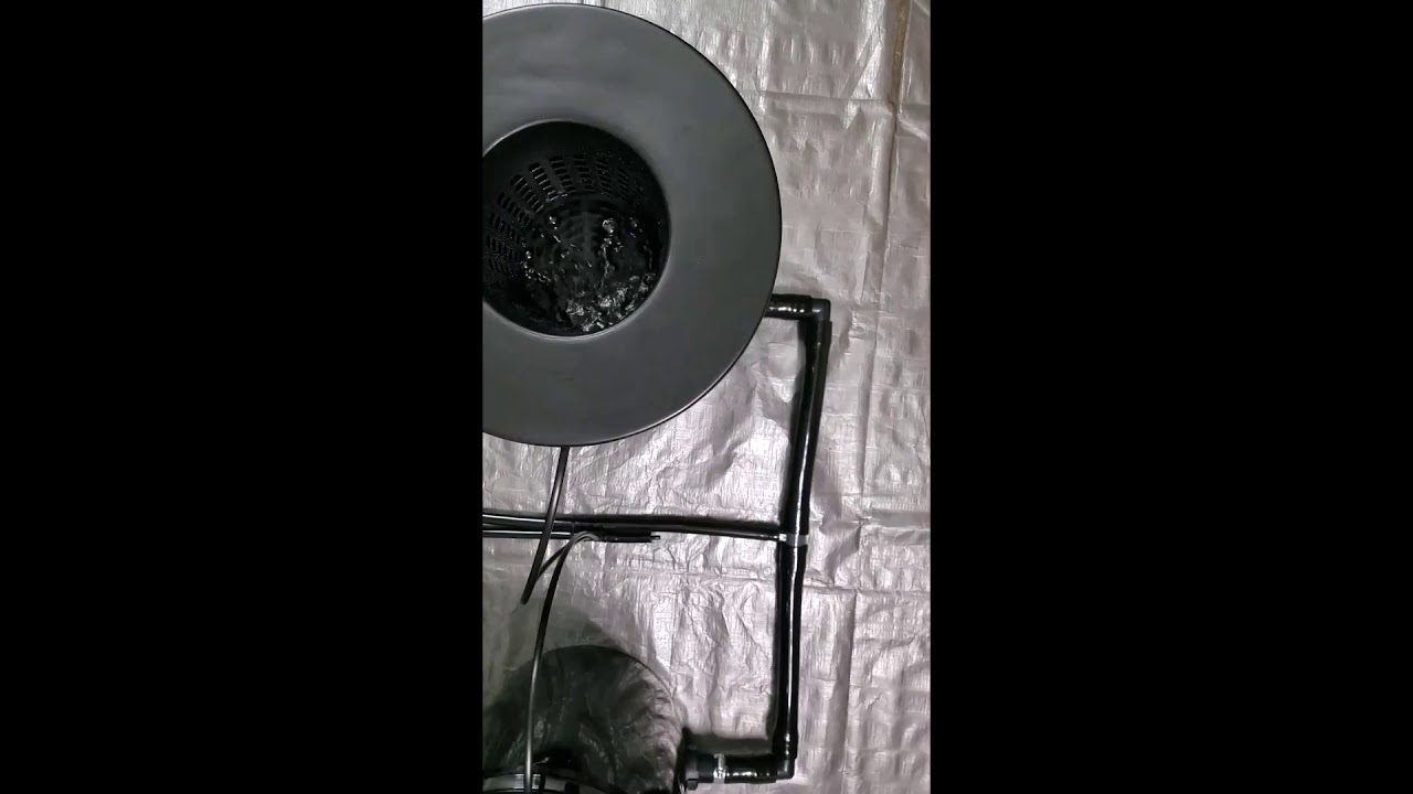 Root Box Hydroponics RDWC Commercial Systems Grow (4-48) - YouTube