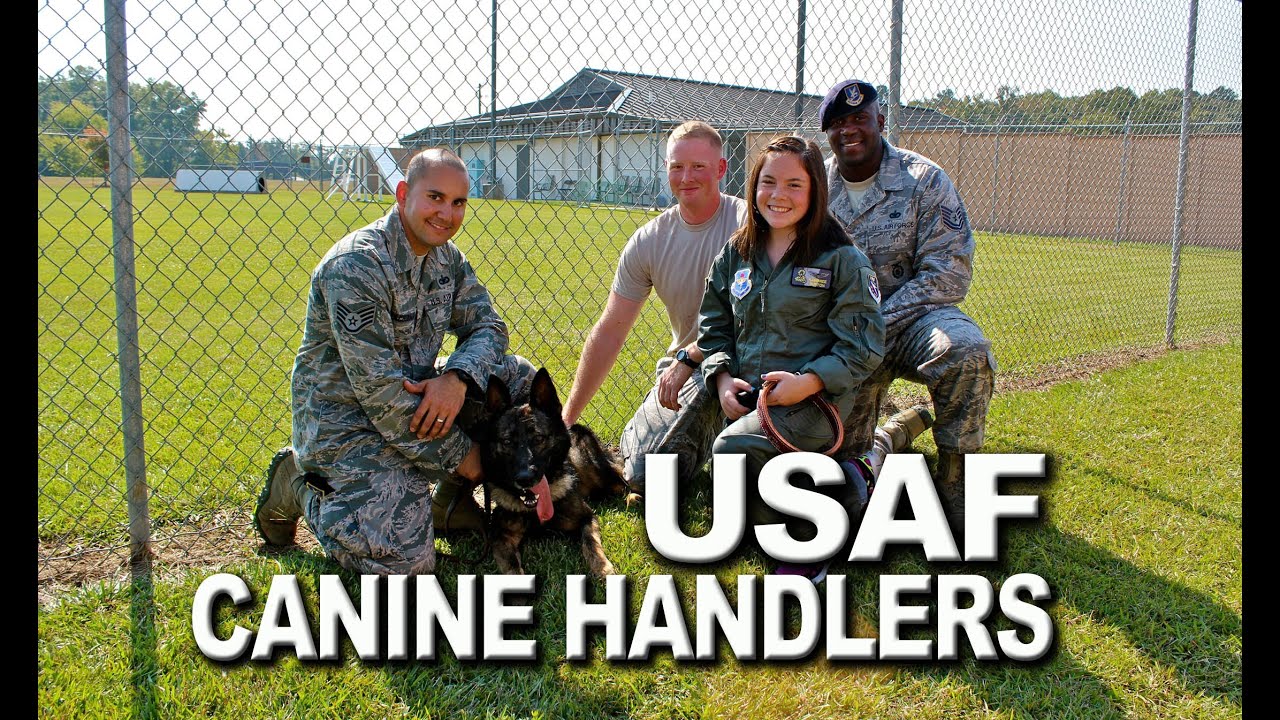 In Their Shoes On The Job With USAF Canine Handlers YouTube in-their-shoes-on-the-job-with-usaf-canine-handlers-youtube