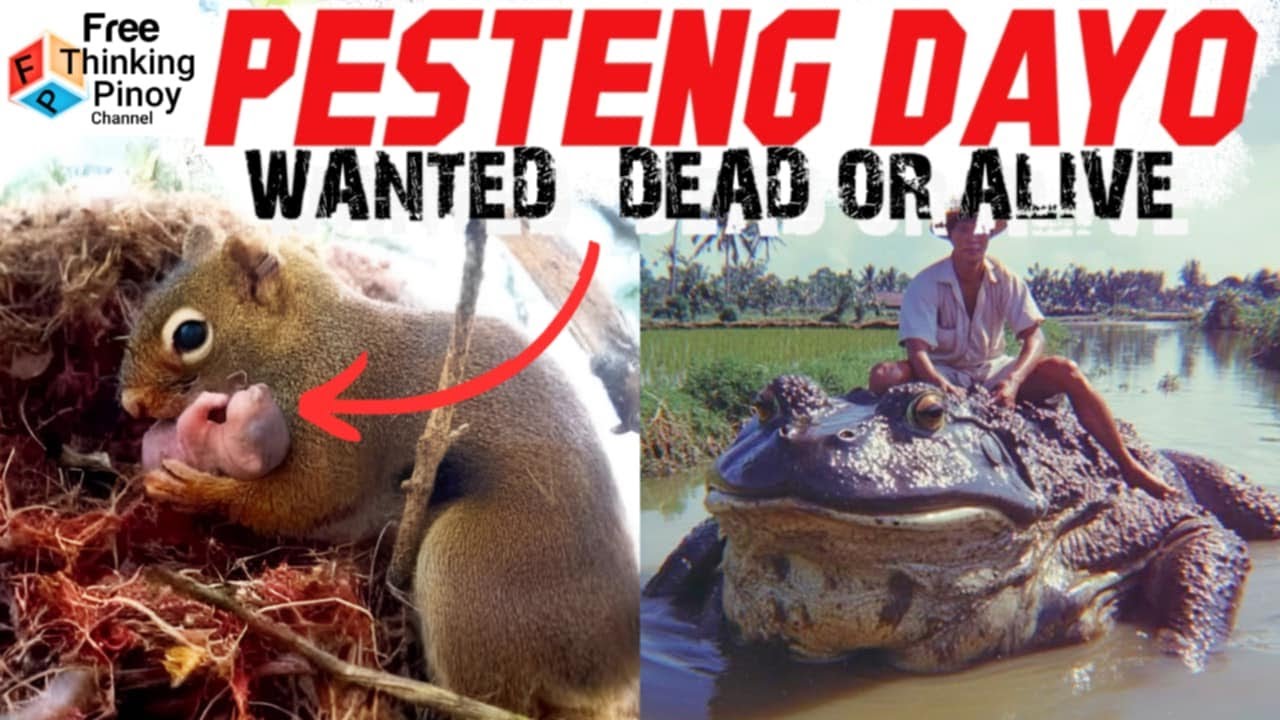 WILD ANIMALS na dapat mo hulihin | Invasive Species in Philippines ...