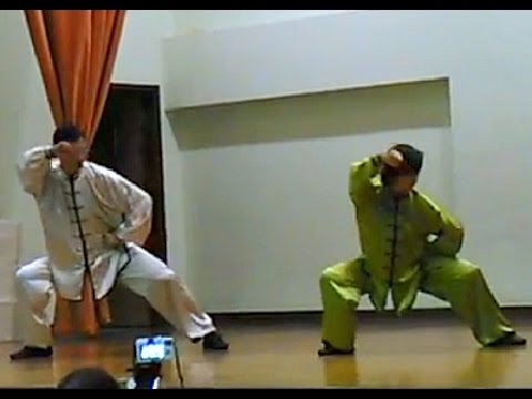 Chen Style Taiji Xinjia - Ong Chin Chye 陈式太极拳新架 - 王进才老师 , 胡玉英老师 - YouTube