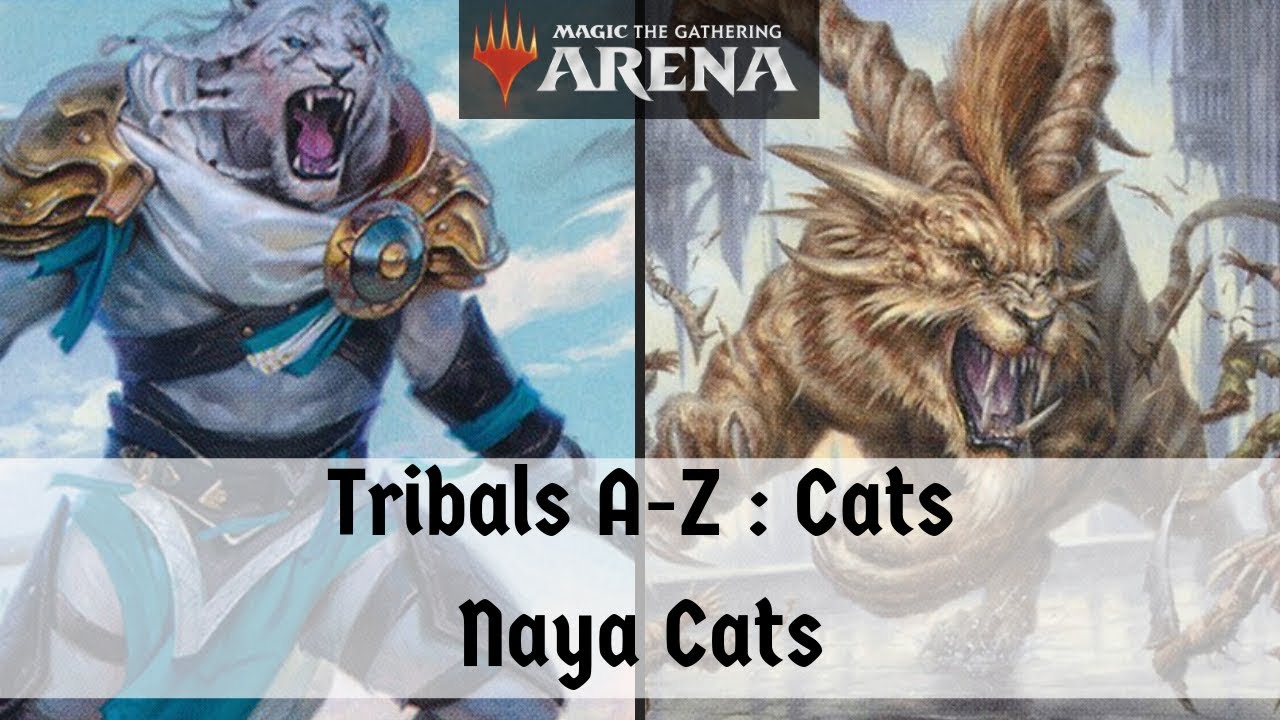 KILLER CATS!! Naya Cats | MTG Arena Tribals: A-Z | Cats - YouTube