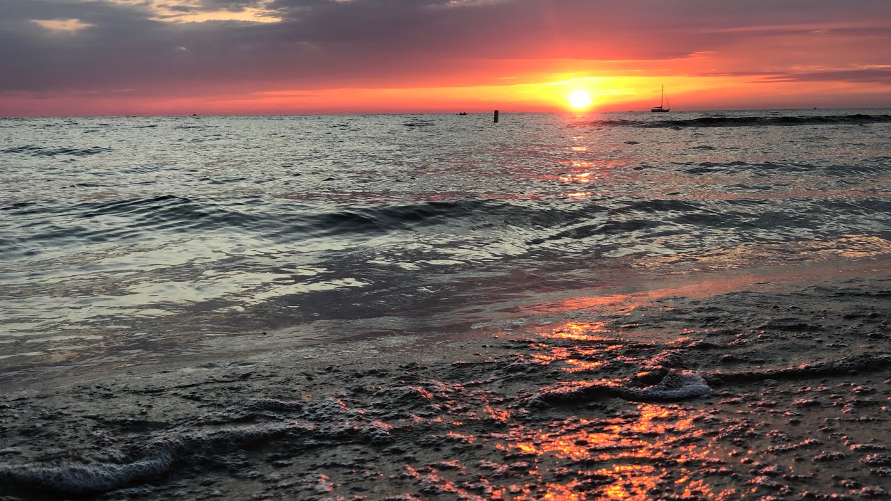 Mort Neff Tribute; Michigan Out of Doors TV #2125 - YouTube