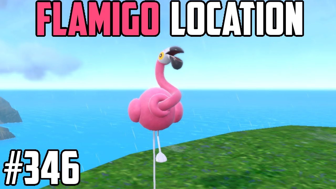 How to Catch Flamigo - Pokémon Scarlet & Violet - YouTube