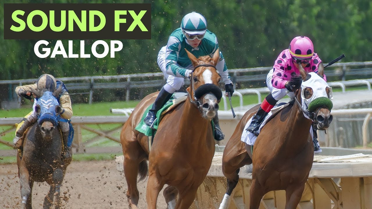 Horse sound gallop - YouTube