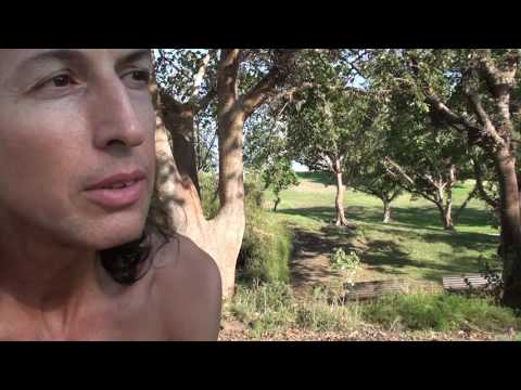 Avishay Harun - Wonder Hints - Love is Now, Happiness is Now - Introduction video.