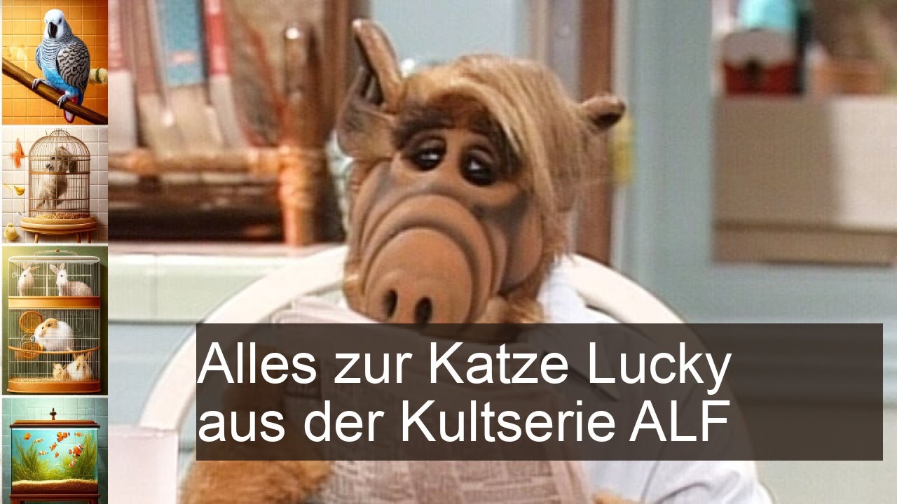 Alf: Katze Lucky hat er zum Fressen gern - YouTube