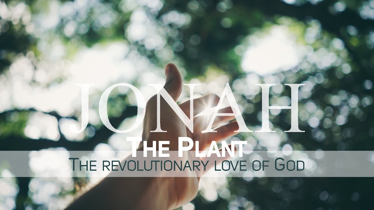 Jonah 4 - The Plant - YouTube