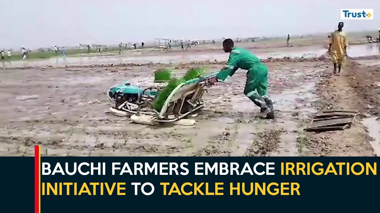 Boosting Food Security: Bauchi Farmers Embrace Irrigation Initiative To ...