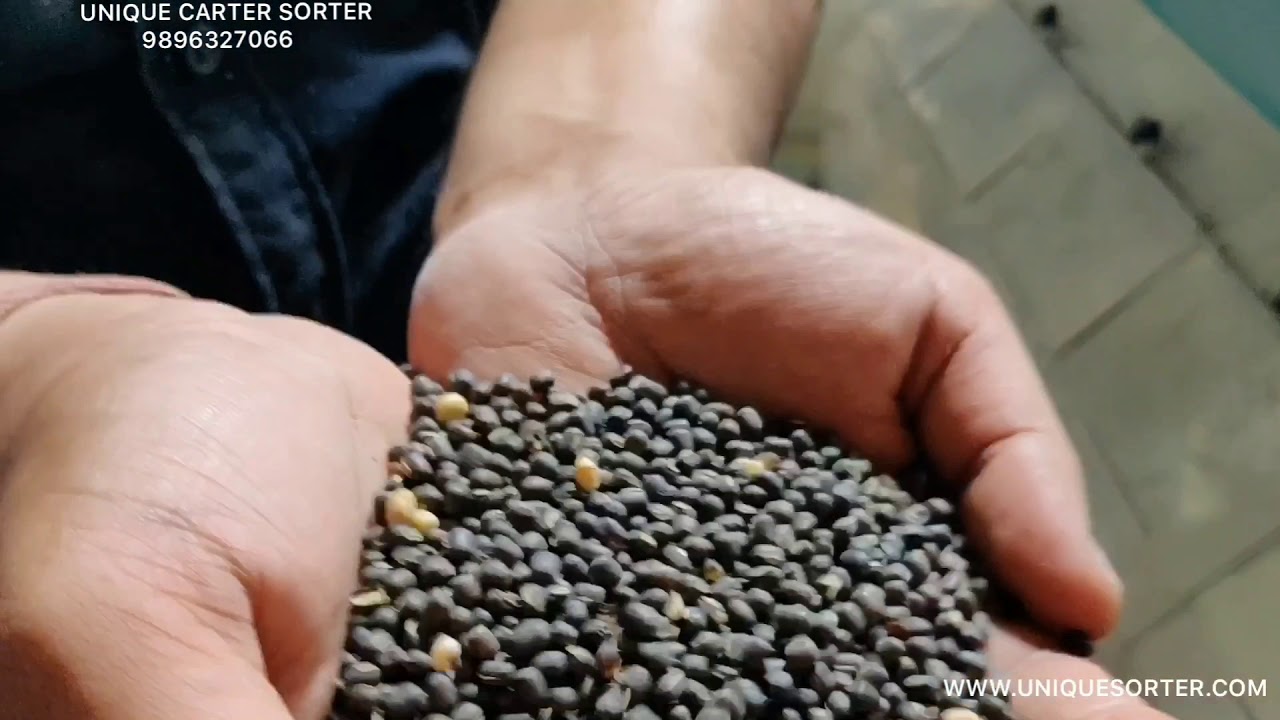 Unique carter sortex - YouTube