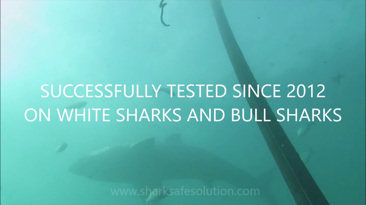 The SharkSafe Barrier 2019 video - YouTube