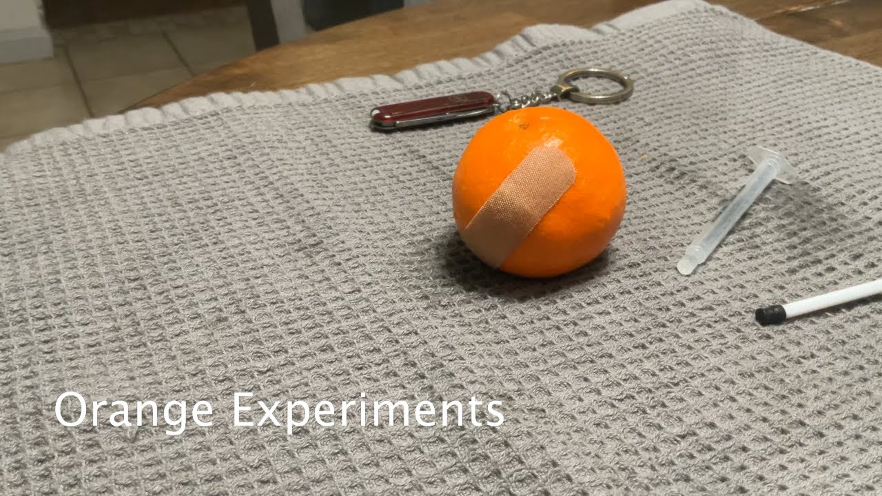 Orange Experiments - YouTube