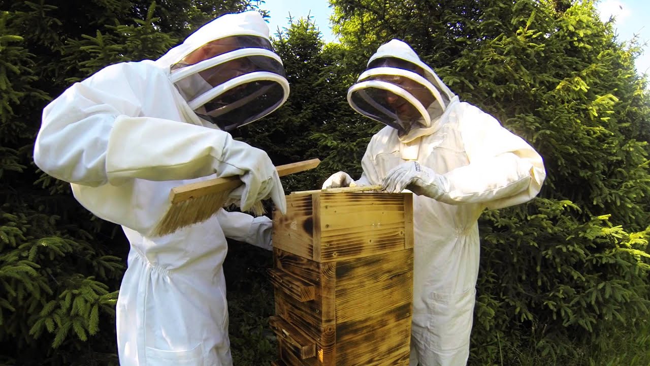 Japonský úl, Japanese bee hive, 7 díl - YouTube