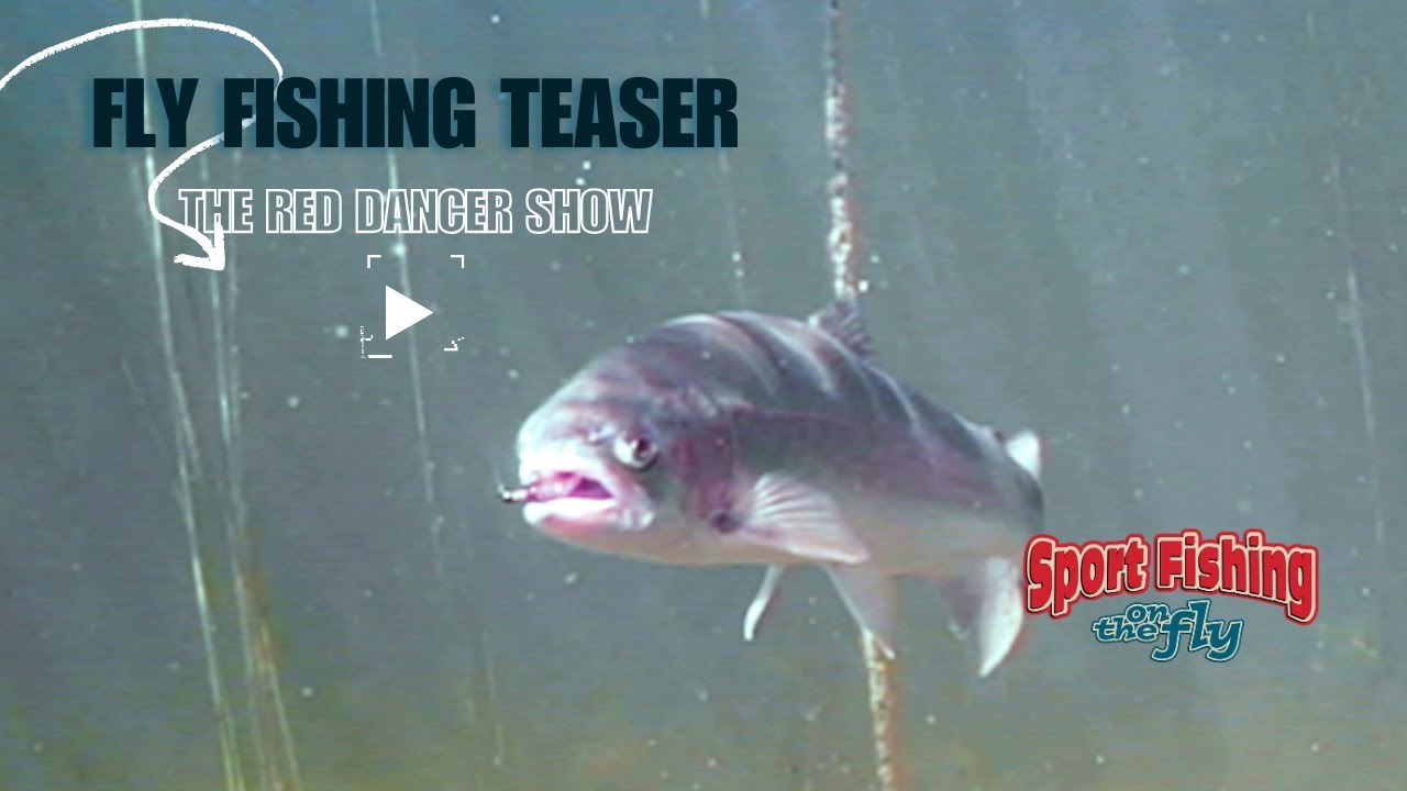FLY FISHING TEASER: THE RED DANCER LEECH - SHOW #8 OF SERIES 27 - YouTube