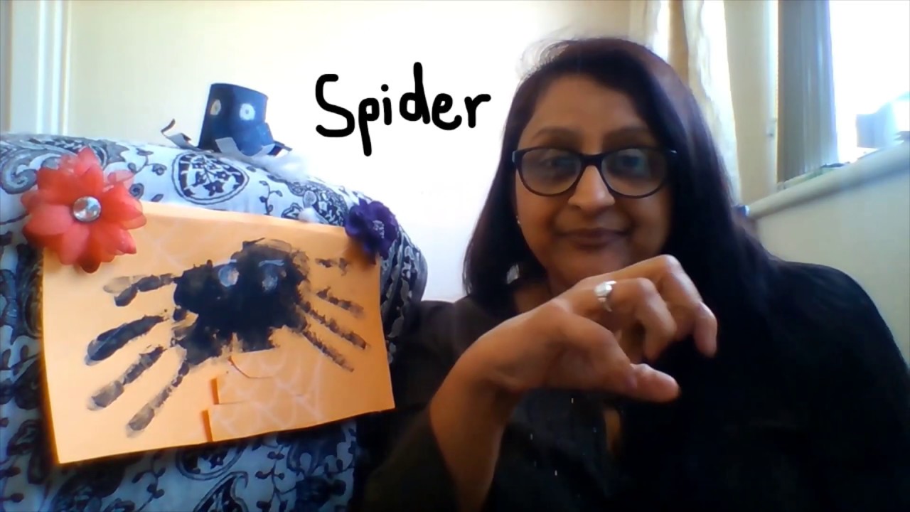 What Is A Spider? BSL - YouTube