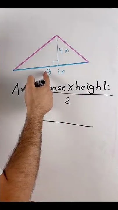 Area of a triangle - YouTube