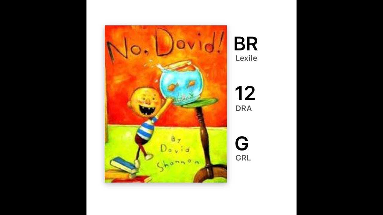 No David! read aloud - YouTube