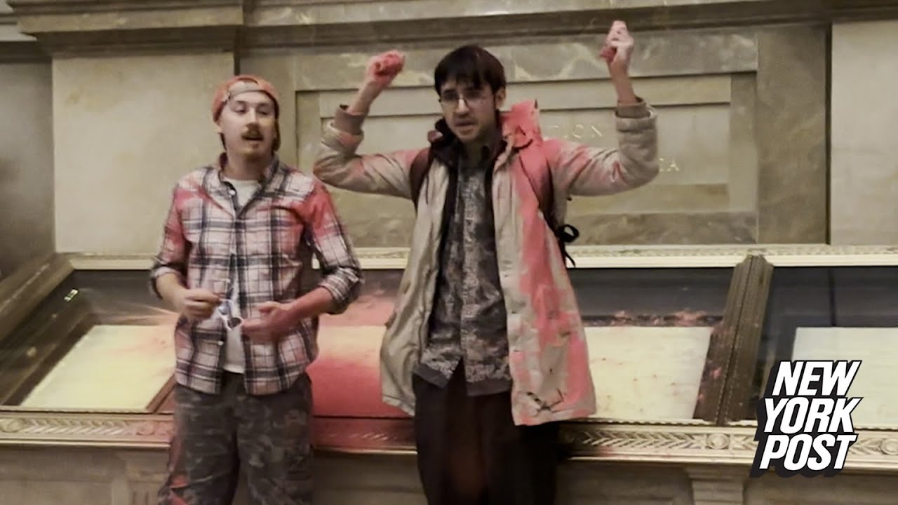 WATCH: Climate activists dump pink powder on Constitution case at ...