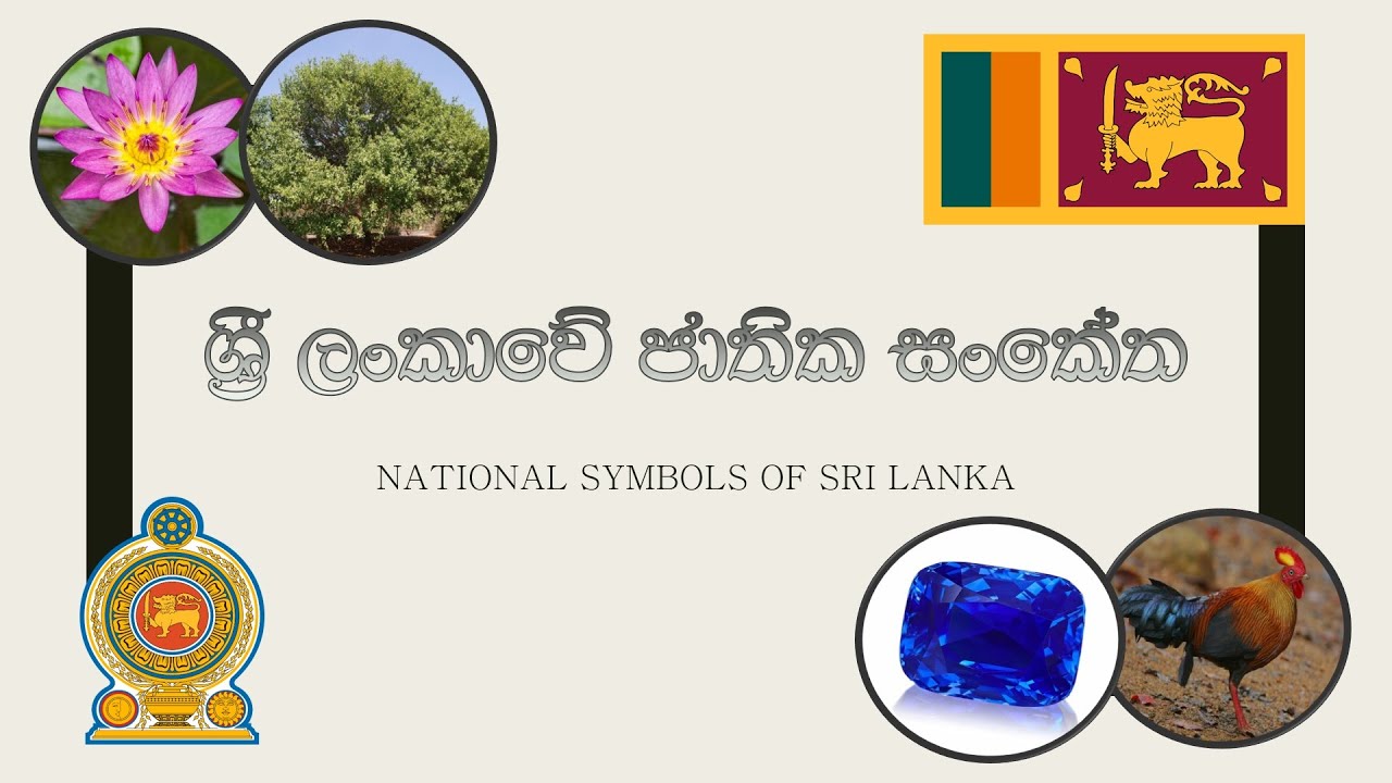 National Symbols of Sri Lanka ( ශ්‍රී ලංකාවේ ජාතික සංකේත ) - YouTube