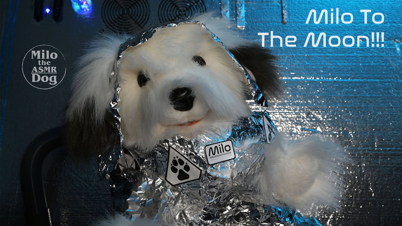 ASMR - Part 1 - Dogs Return to Space!!! Milo to the Moon!!! Space ...
