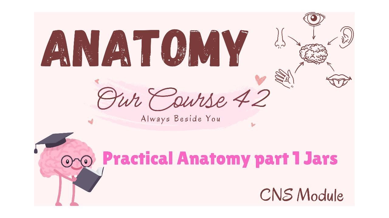 Practical Anatomy part1 Jars (CNS 42) - YouTube