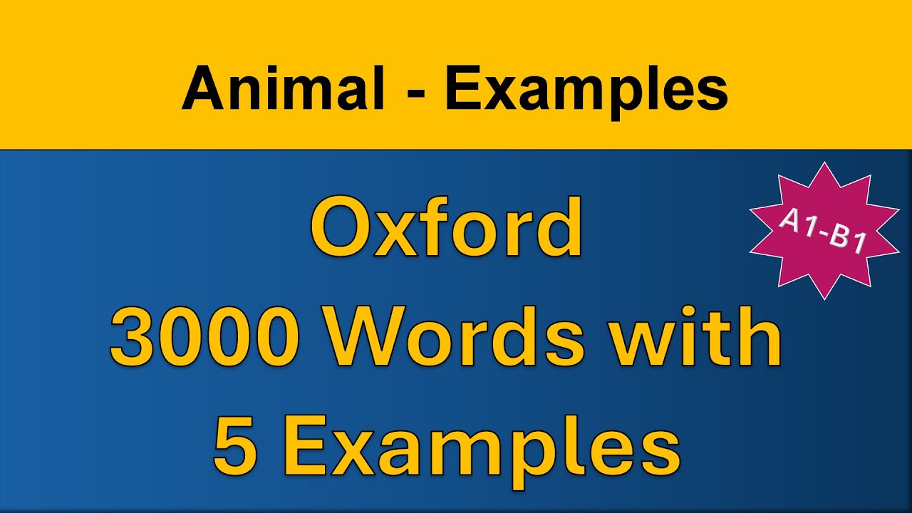 Animal - Examples - YouTube