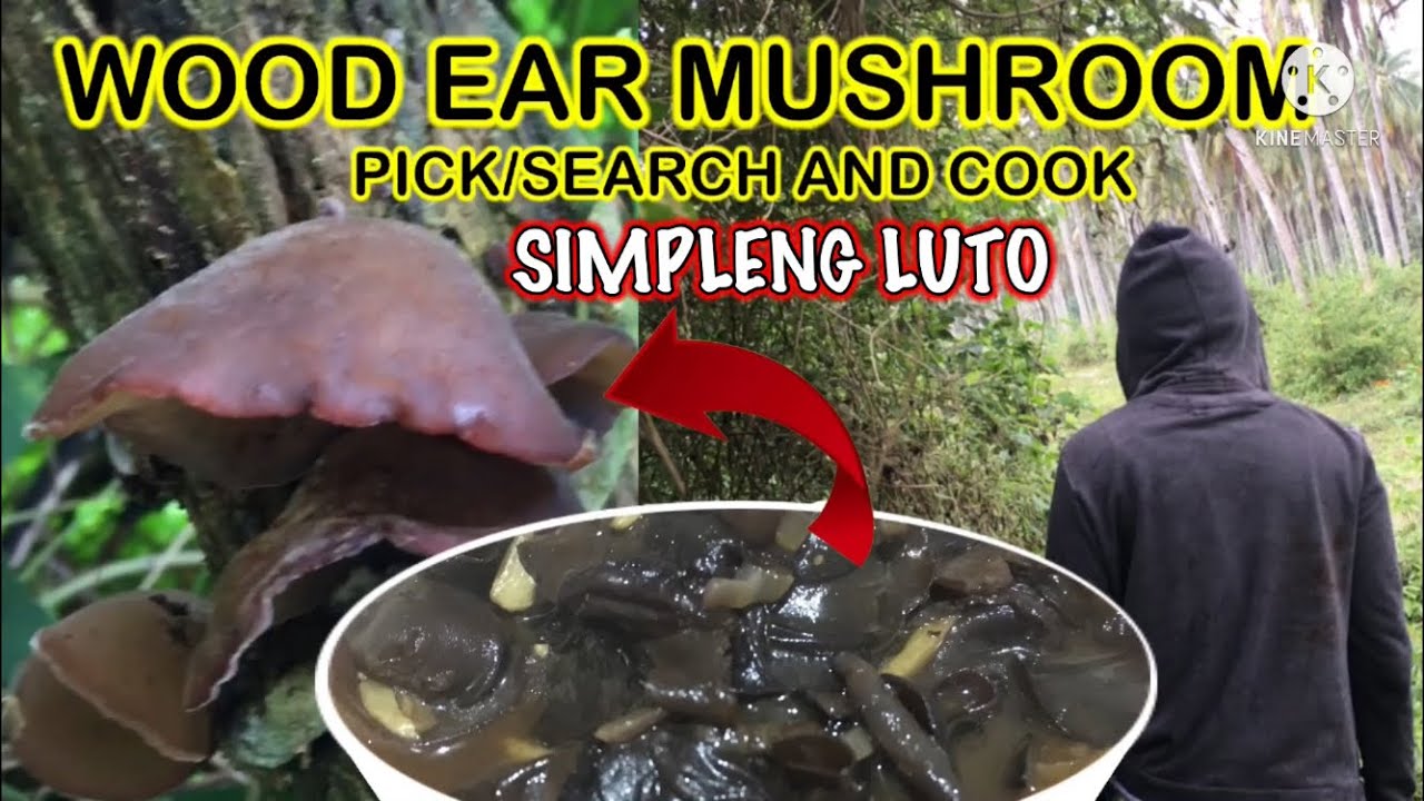 EP.#05 ADOBONG TAYNGANG DAGA SIMPLENG LUTO SA BUNDOK - YouTube