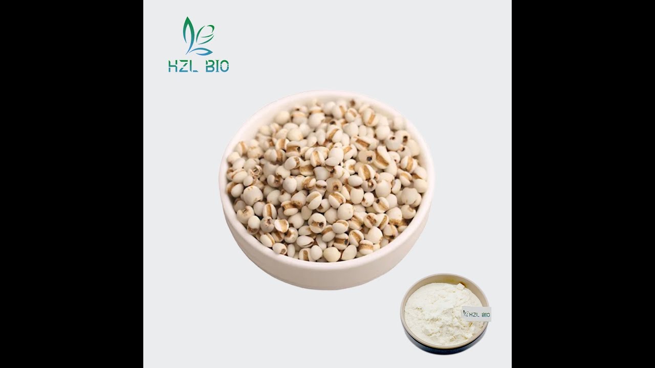 薏苡仁粉-Coix Seed Powder - YouTube