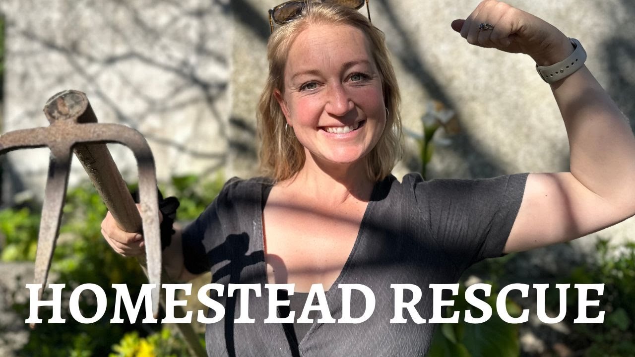 Our TINY HOUSE build and PLANTING STARTS | Our Portugal Homestead Life ...