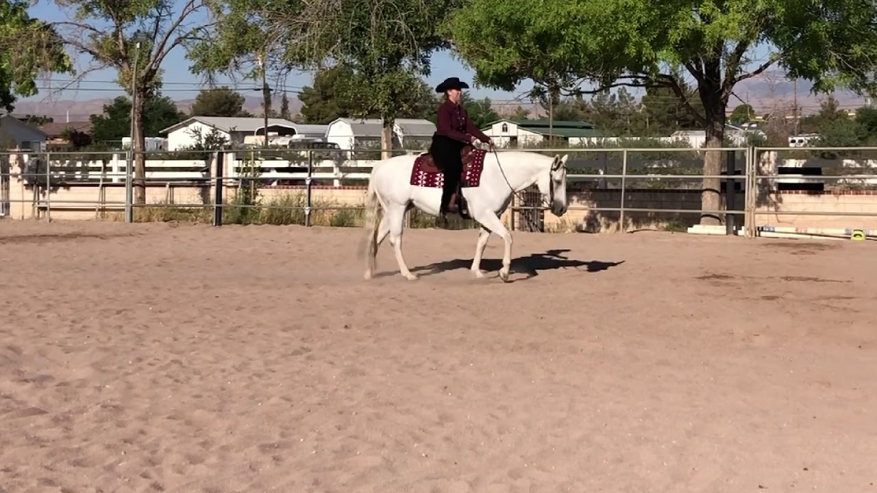 #25 NSHA June Virtual Show class #38 Ranch Rail Pleasure - YouTube