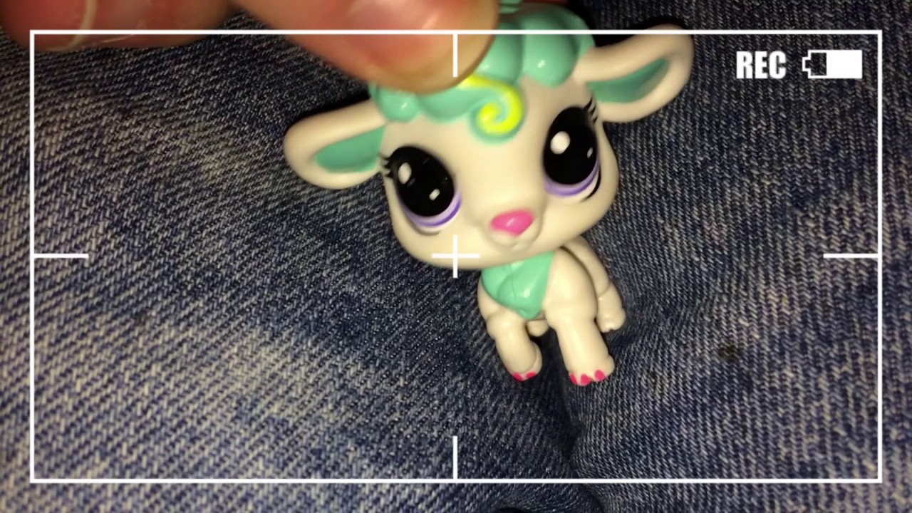 "That Poppy - Money" Fan Video Lps version - YouTube