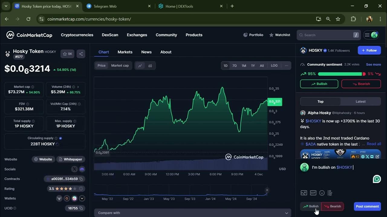 Is Hosky (HOSKY) Token Legit or Scam ?? - YouTube