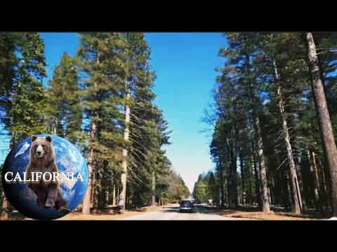 Redding to Shingletown - California State Route 44 - YouTube