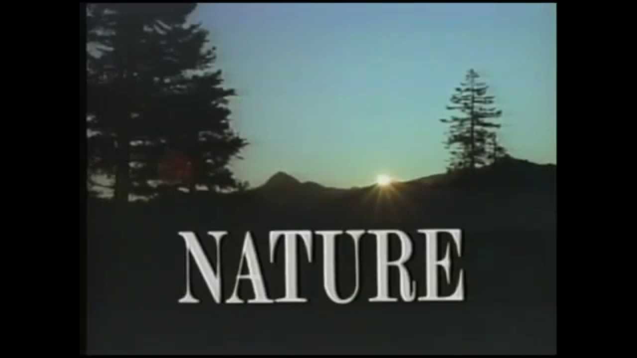 Pbs Nature Logo