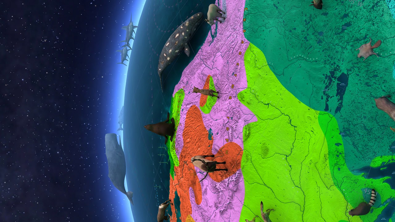 3Planesoft 3D Screensavers Animal World 3D Screensaver - YouTube