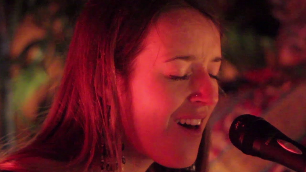 'The Guesthouse' - Ayla Schafer LIVE @ The Olive Tree - YouTube